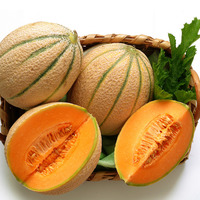 Idées de recettes à base de melon