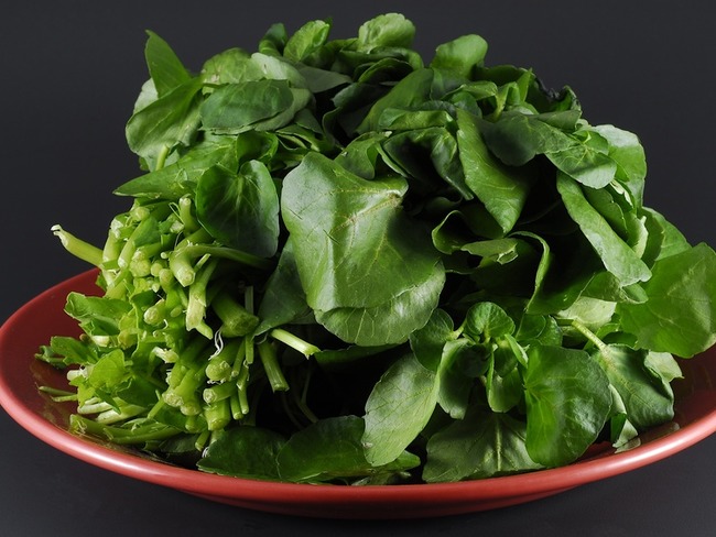 Le cresson (Lepidium sativum) - Histoire, propriétés et cuisine